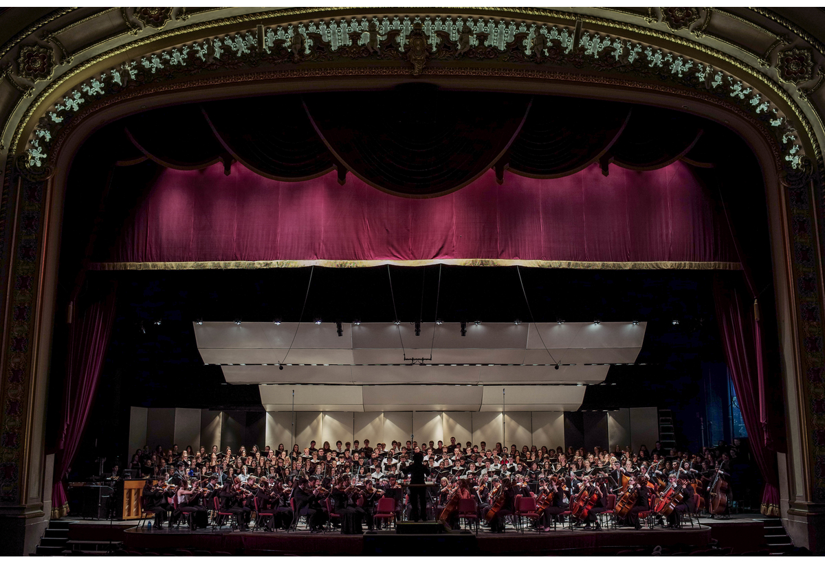 Proctors Orchestra-Resized - Proctors